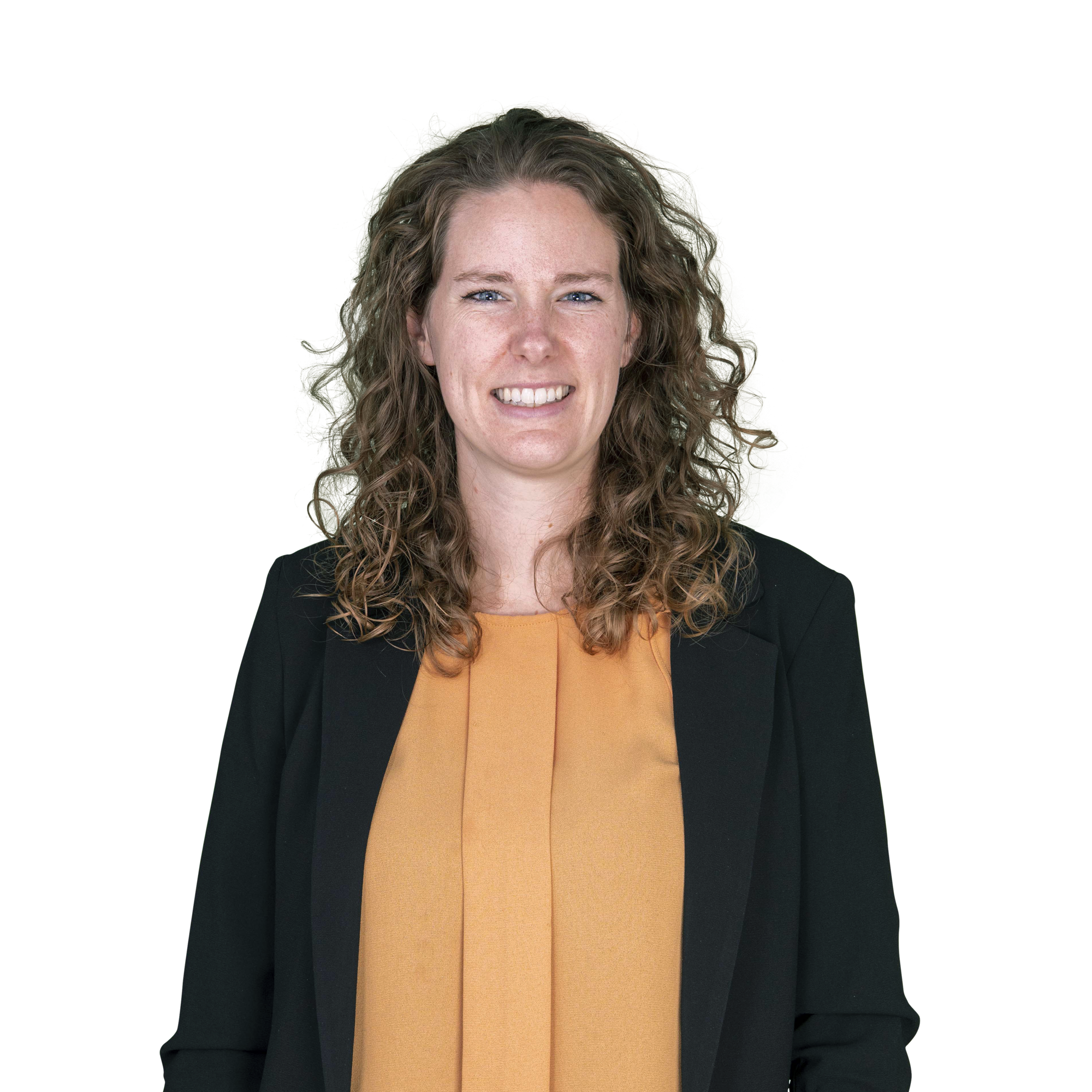 Inzicht in de dynamiek van transities met hulp van de X-curve